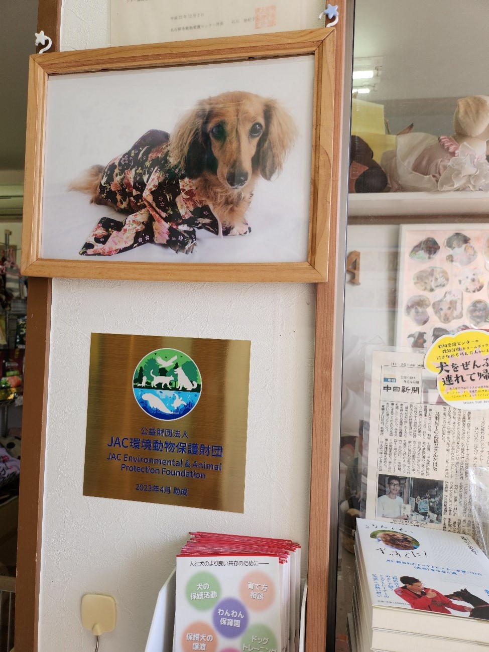 2023年度助成先視察レポート NPO法人 DOG DUCA(ドッグ デュッカ) - 公益財団法人 JAC環境動物保護財団